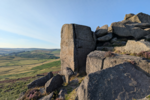 Events | Buddhafield